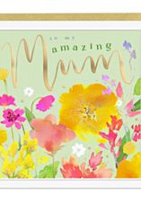 Victorinox Synergy X Alox – Premium Swiss Pocket Knife with 10 Functions